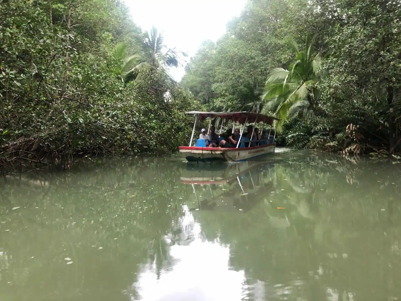 Monkey Mangrove Tour a unique adventure, best price, book now!