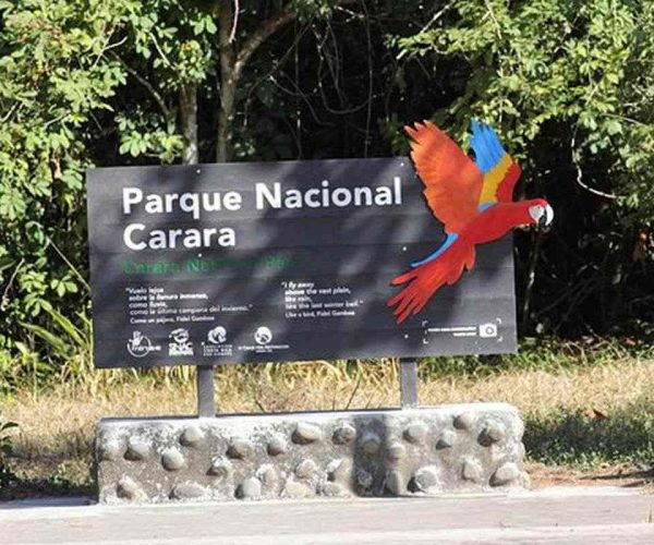 Explore Carara National Park Best Tours and Prices book now
